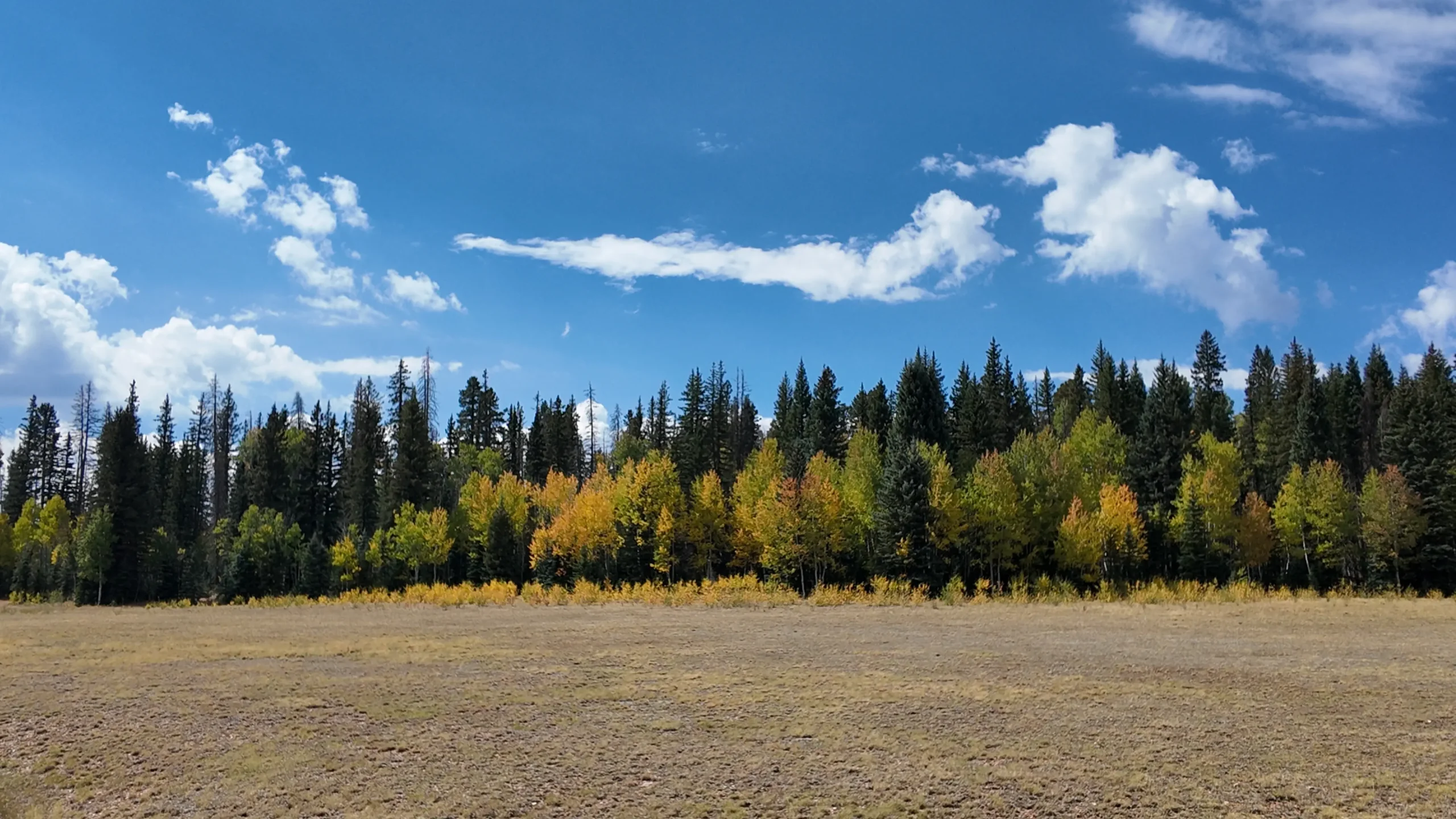 North Rim Campground | GrandCanyon.com